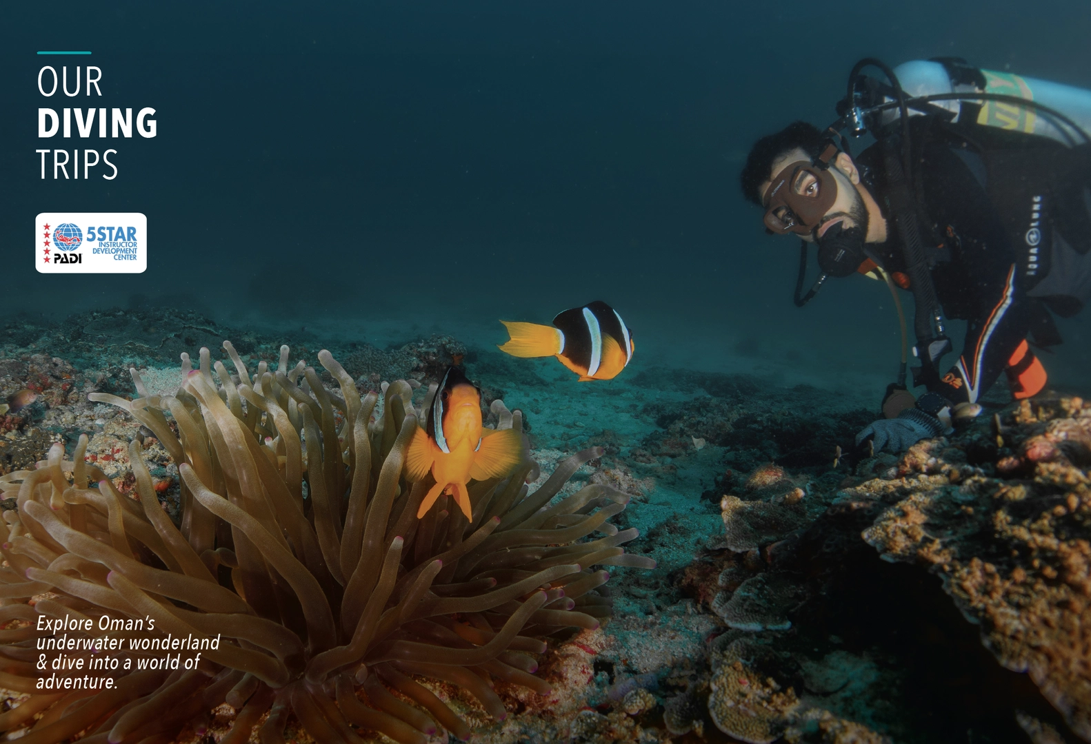 Discover the best dive sites in Oman | ImSkipper
